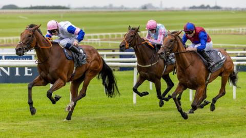 Horse Racing - Latest news, fixtures & schedule - BBC Sport