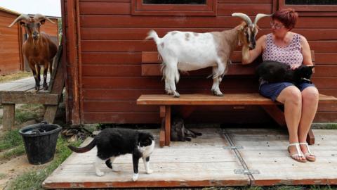 'The Little Old Ones': Belgium's retirement home for elderly animals ...