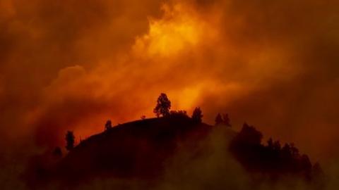 Climate Change Six Tipping Points Likely To Be Crossed Bbc News