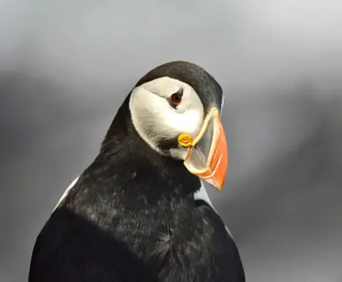 Your pictures of Scotland: Photographs from around the country