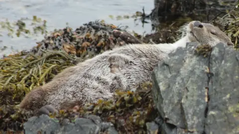 Your pictures of Scotland 31 July - 7 August