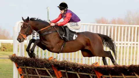 King's former racehorse retrained for new career in dressage