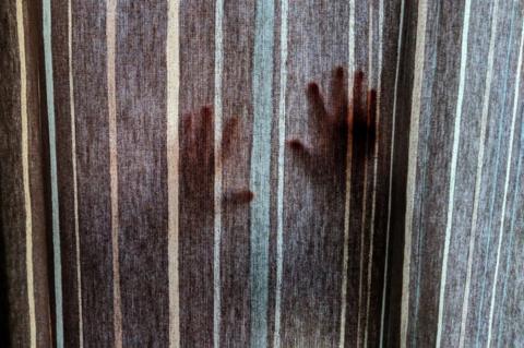 Your pictures on the theme of 'hidden' - BBC News