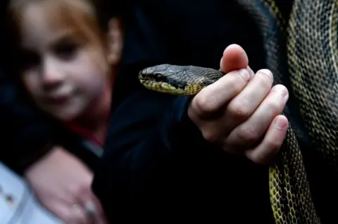 In pictures: Italy's annual snake festival in the village of Cocullo