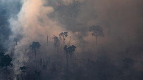 How do you fight extreme wildfires? - BBC News