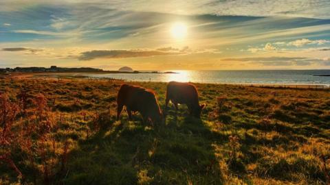 Your pictures of Scotland: 30 September - 7 October - BBC News