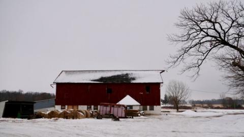 What US farmers make of Trump's trade deal - BBC News