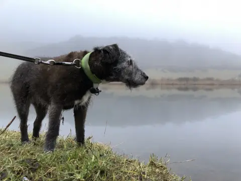 Your pictures of Scotland: 9 to 16 March