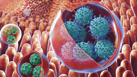 Why stealthy viruses are making you ill - BBC News