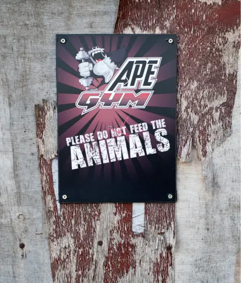 The extreme lifestyle of a strongman