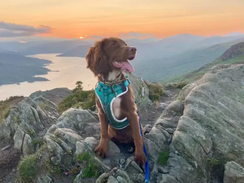 Your pictures of Scotland: 20 - 27 August