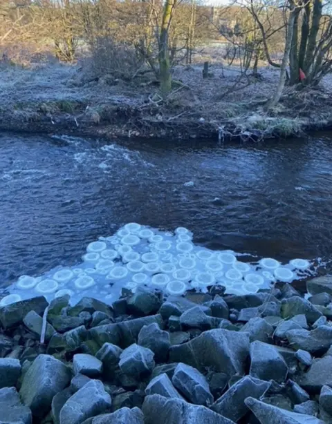 Your pictures of Scotland 1 - 8 January