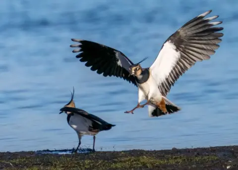 Your pictures of Scotland: 11 - 18 November