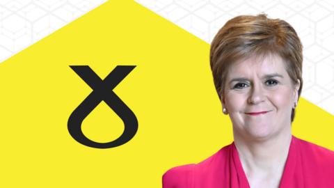 Scottish election 2021: SNP manifesto at-a-glance - BBC News