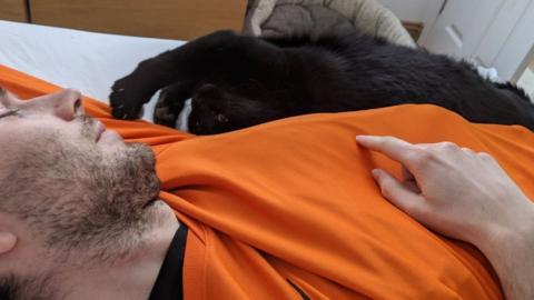 Coronavirus lockdown: How are our pets coping with us? - BBC News