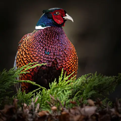 Your pictures of Scotland: 22-29 March