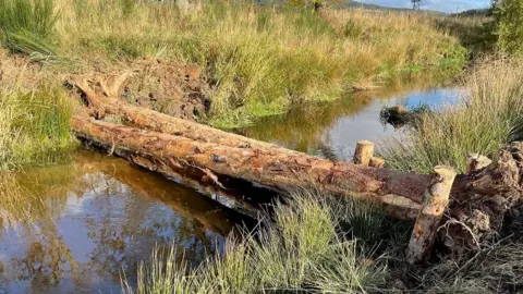 Storm Arwen-damaged trees used in Aberdeenshire river project