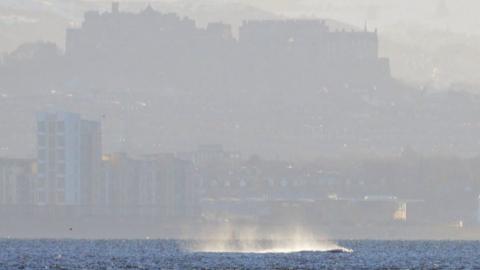 Birdwatcher snaps surprise whale shot in front of castle - BBC News