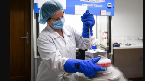 Endangered animals: Zoo teams up with 'biobank' to save animals from ...