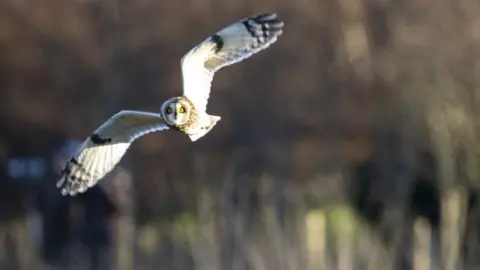 Your pictures of Scotland: 5-12 January