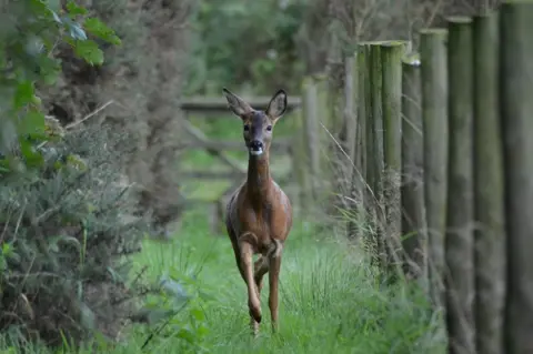 Your pictures of Scotland: 31 August - 7 September