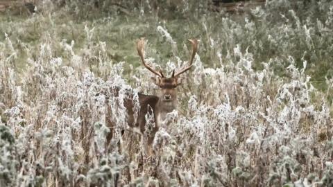 Hull: Photographer recaptures city pub scenes 40 years on