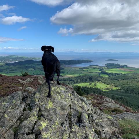 Your pictures of Scotland 21 - 28 August - BBC News