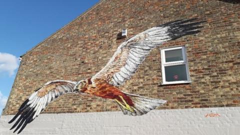 Lowestoft: Street artist ATM creates bird mural - BBC News