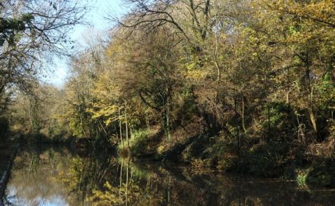 England's Big Picture: 21-27 November - BBC News