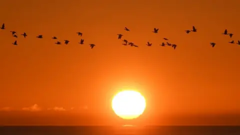 Your pictures of Scotland 13 - 20 November