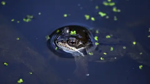 Your pictures of Scotland: 11 - 18 March
