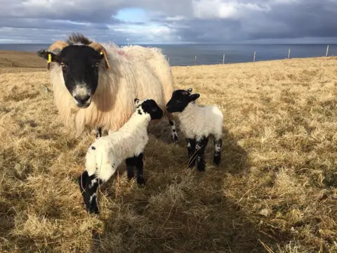 Your pictures of Scotland: 9 to 16 March