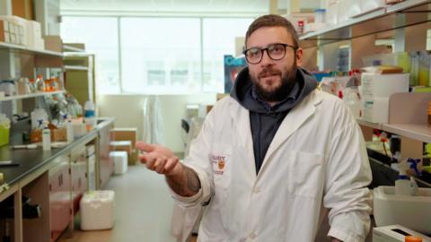 New superbug-killing antibiotic discovered using AI - BBC News