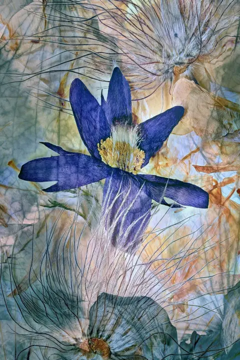 Winning photos from the International Garden Photographer of the Year 2018