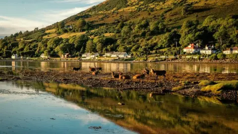 Your pictures of Scotland 28 August - 4 September