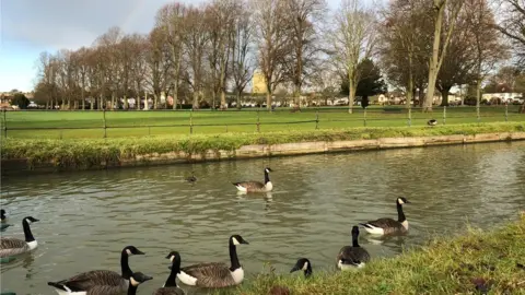 Covid-19: Broxbourne residents praised for test take-up