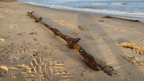 RSPB Minsmere: WW2 sea defences emerge from Suffolk beach - BBC News