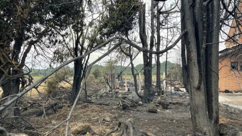 Homes destroyed and wildlife killed in Norfolk as fires spread - BBC News