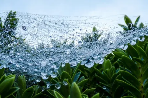 Your pictures of Scotland 25 September - 2 October