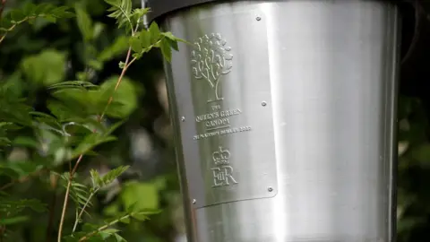 Hanley Park to plant tree from late Queen's 'Tree of Trees' sculpture