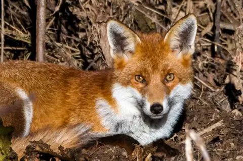 Your pictures of Scotland: 3 November - 10 November