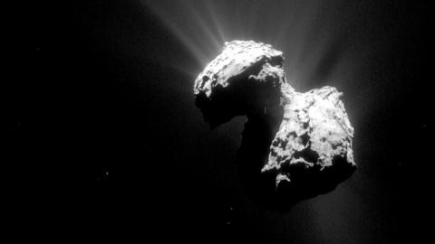 Comet impact 'linked' to rise of mammals - BBC News