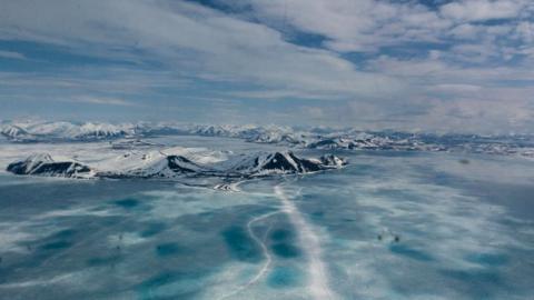 Extinction: A million species at risk, so what is saved? - BBC News