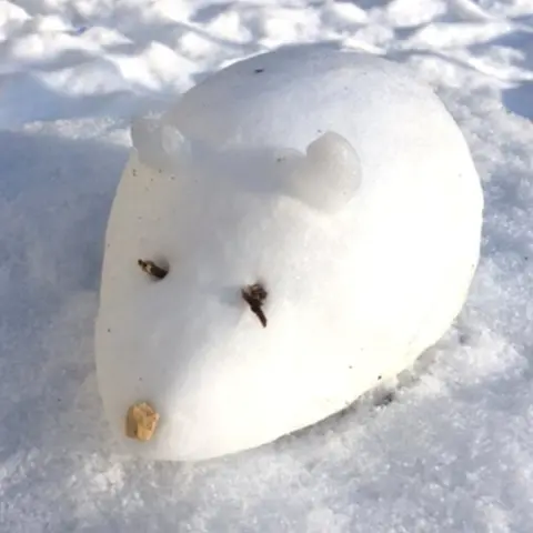 Your pictures of Scotland 12 - 19 February