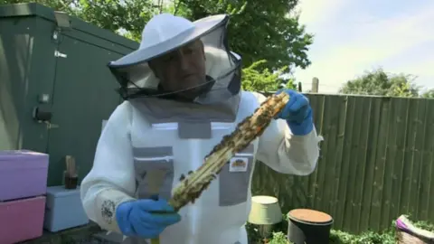 US approves world’s first vaccine for declining honey bees