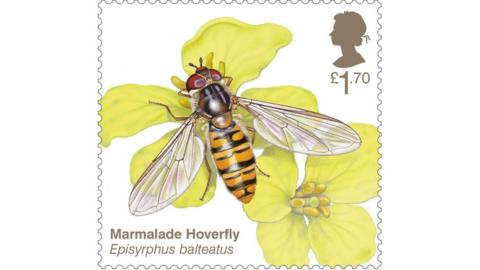 New Royal Mail stamps to celebrate UK's brilliant bugs - BBC Newsround