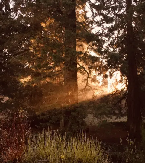 England's Big Picture: 19 - 25 November