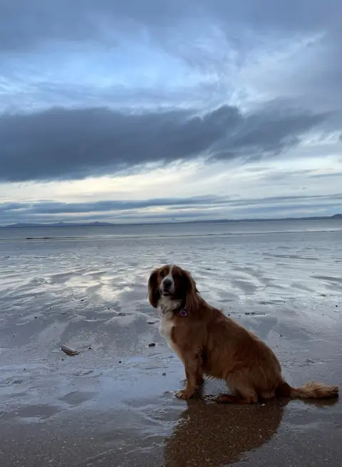 Your pictures of Scotland 18 - 25 December