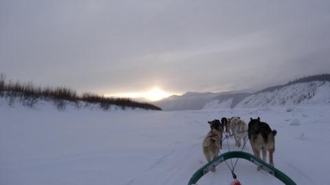 Explorer recreates 700-mile sled ride last completed in 1905 - BBC News