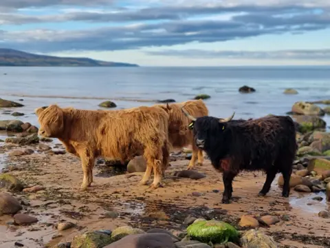 Your pictures of Scotland 4 June - 11 June